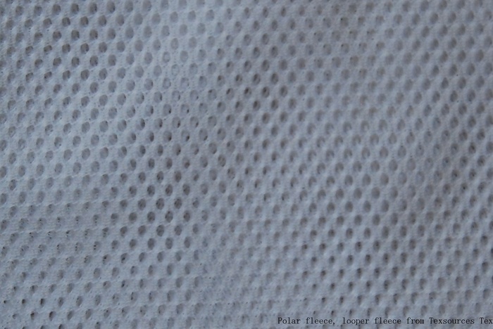 Mesh Polyester 45 GR/M2 - 泰安天成纺织有限公司 Tai'an Tian cheng Textile Co., Ltd.